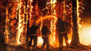 IRS & State of California Fires Tax Relief – California Los Angeles ...