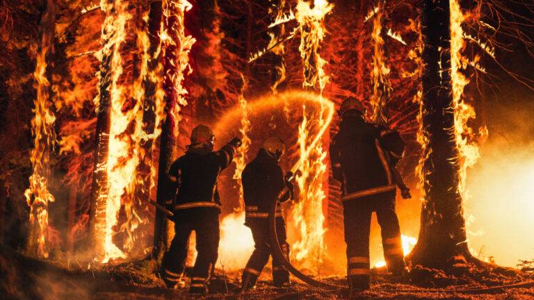 IRS & State of California Fires Tax Relief – California Los Angeles ...