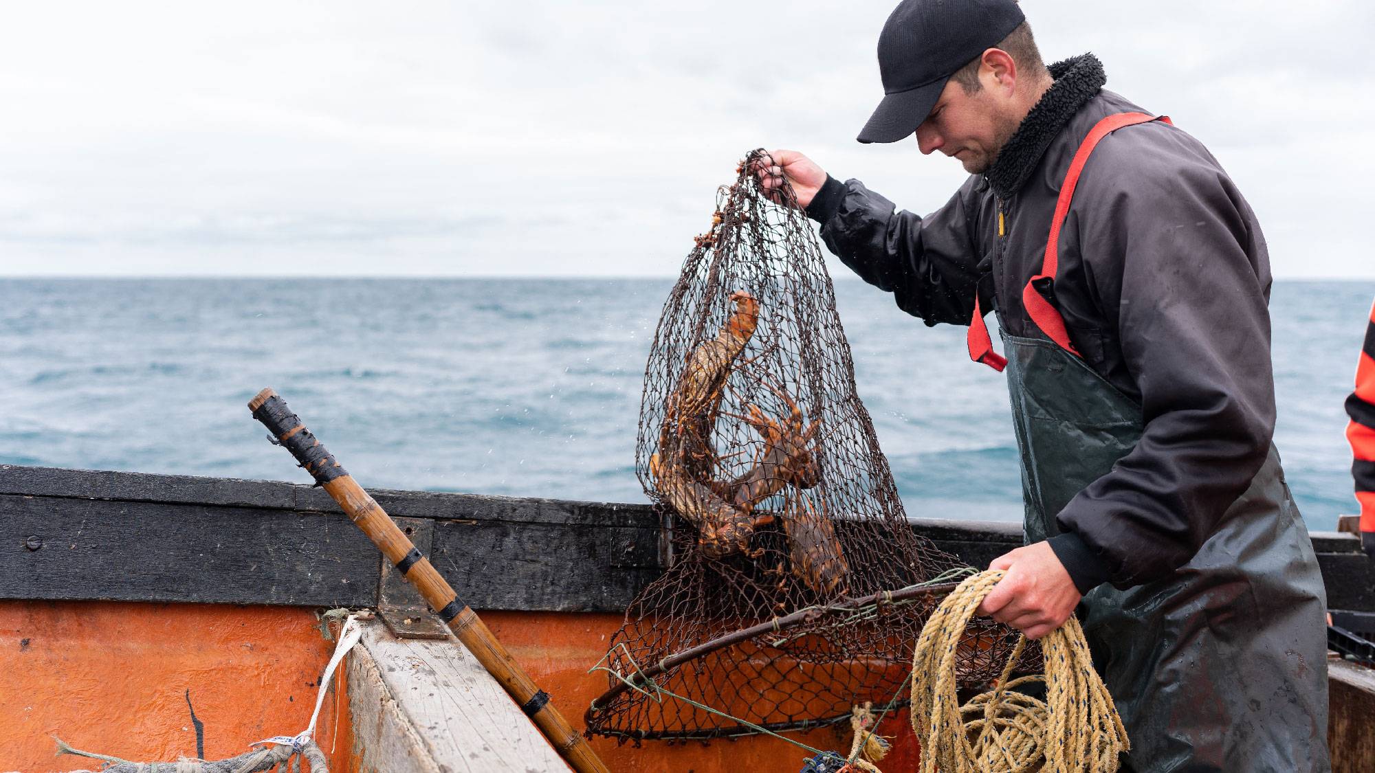 Donald E. Swanson v. Comm., TCM 2023-81 - Western CPE